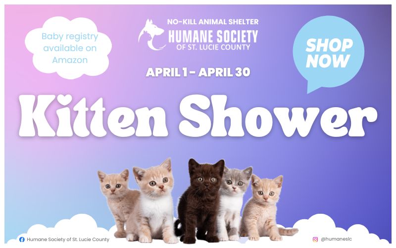 Join us for our Kitten Shower!