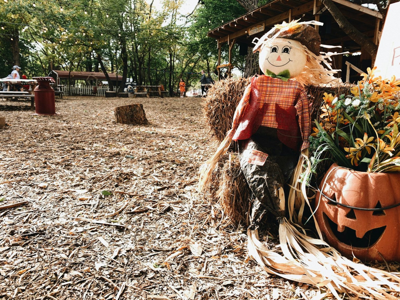 8 Fall Events to Check Out on the Treasure Coast - All Things Treasure ...
